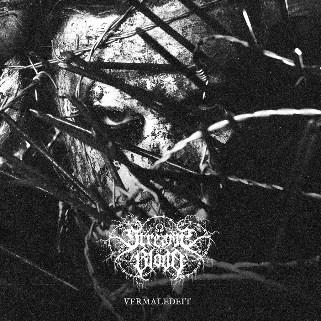 STREAMS OF BLOOD - Vermaledeit (2025) - AMMO